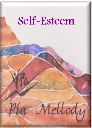 Self-Esteem CD – The Meadows Bookstore